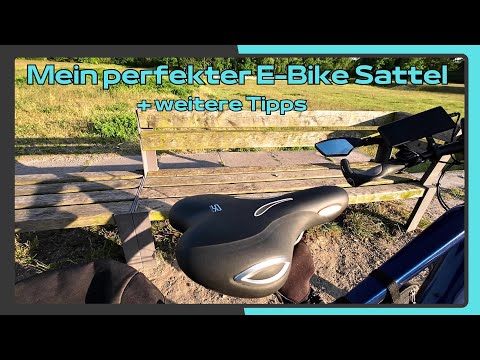 Review Selle Royal Lookin Moderate + Helm-Insektenschutz