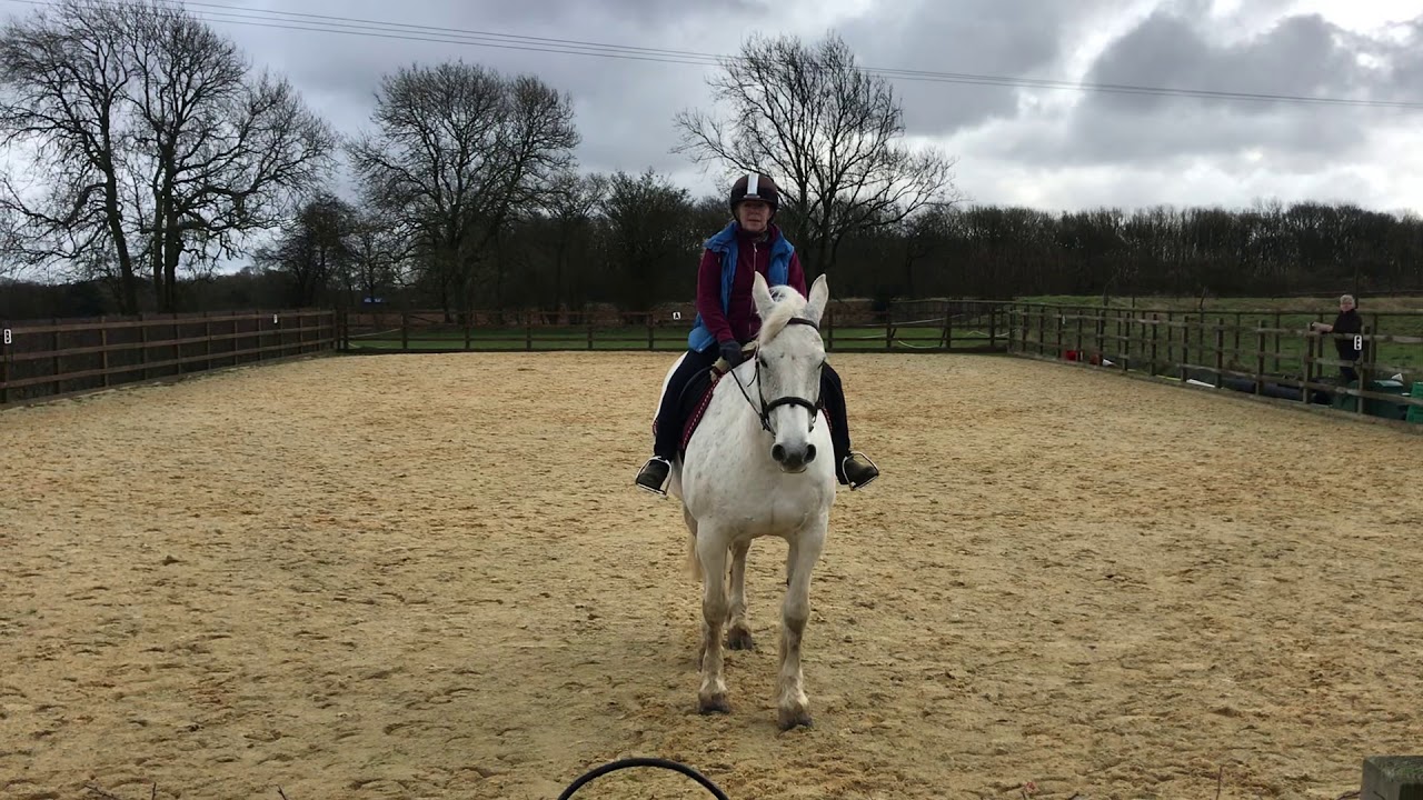 Susan Bugg and Carrenhill Bluemist Intro A Limited Feb 2020 - YouTube