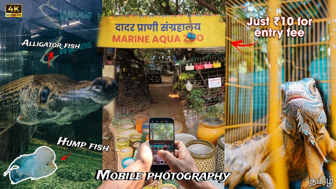 Marine aqua dadar zoo | Mobile photography | Kumreshgraphy | # ...