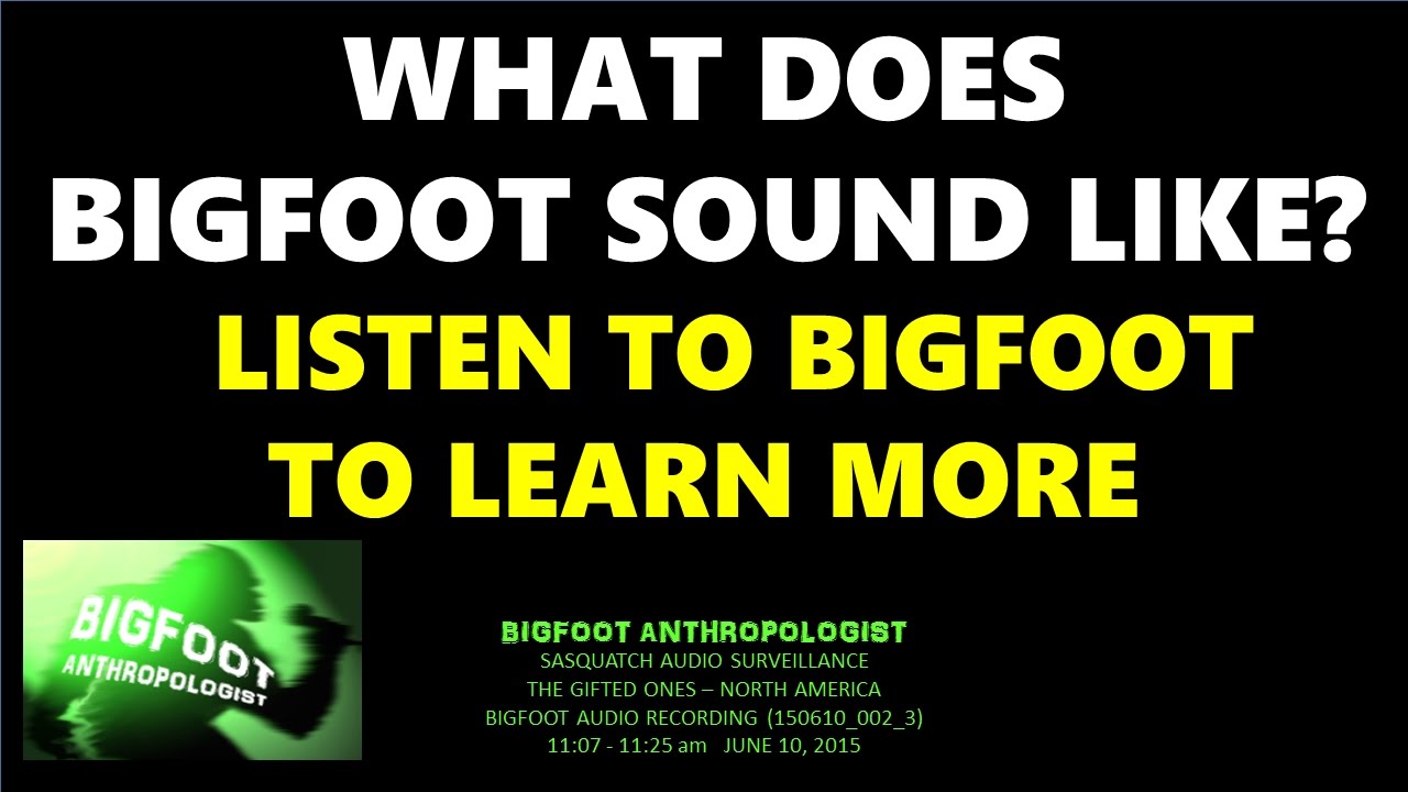 WHAT DOES BIGFOOT SOUND LIKE? Listen to Bigfoot to Learn More - Bigfoot ...