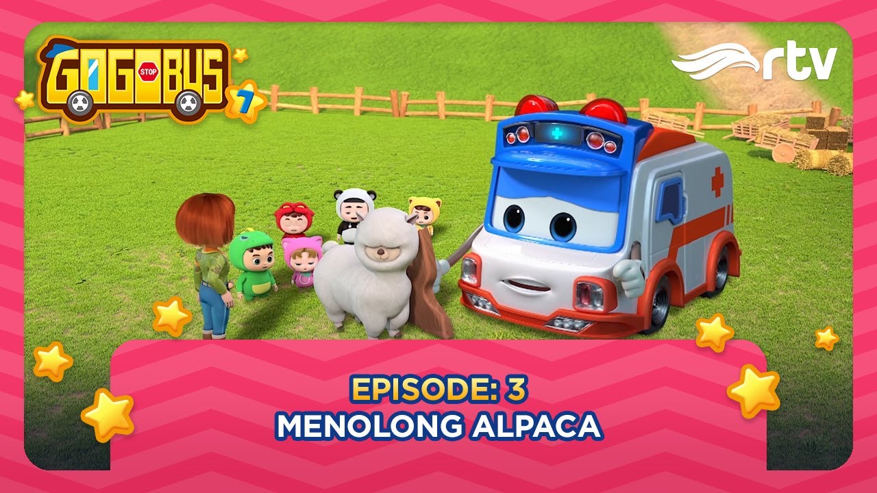 Gogobus Indonesia RTV: Menolong Alpaca (Season 7, Episode 3) - YouTube
