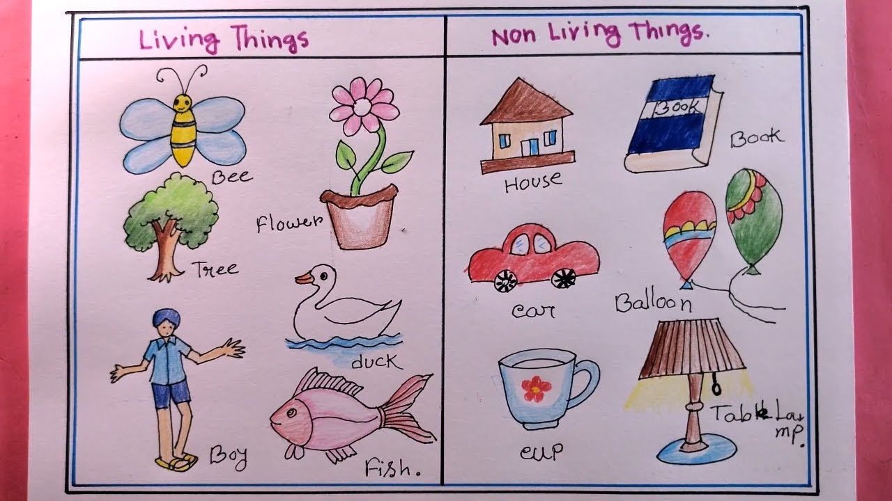 How To Draw Living Things And Non Living Things/Living Things Drawing ...