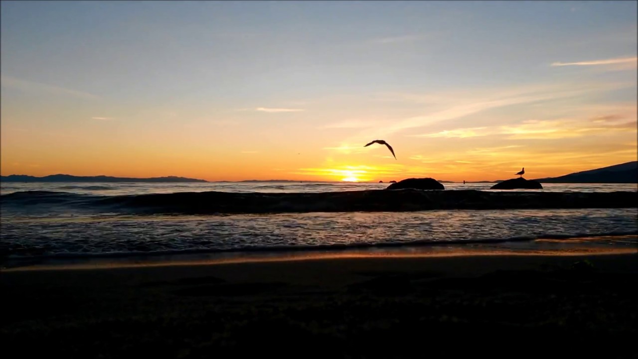 AmbAlAbA maxime le forestier - YouTube