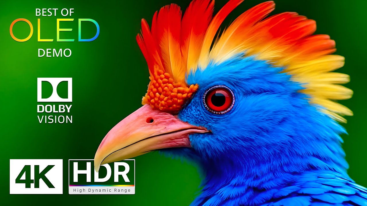 Best of OLED Demo in 4K HDR 120fps - Dolby Vision - YouTube