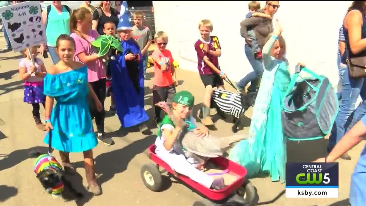 Mini 4-H kids parade with animals around Santa Barbara County Fair ...