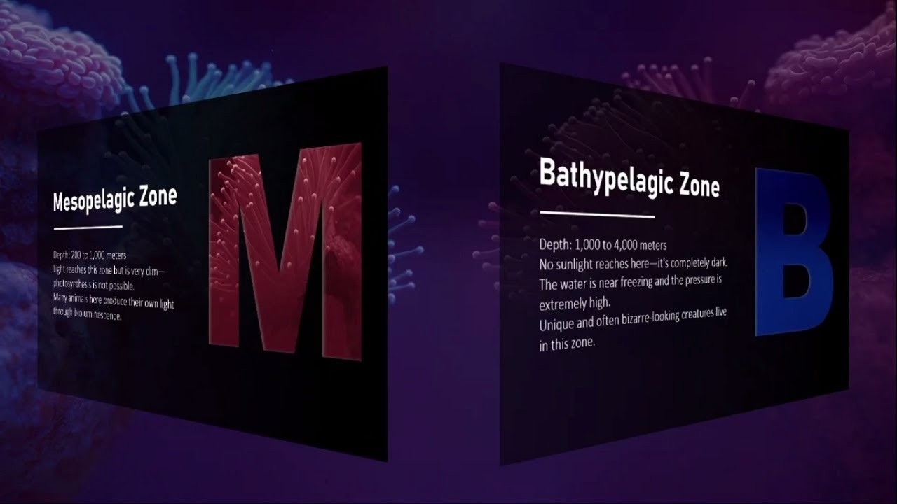 PowerPoint Rotating Slide Animation | Eye-Catching Transition Effects ...