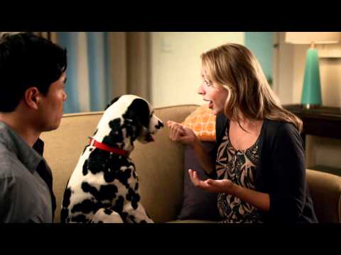 Ally Bank 'Rufus' Commercial
