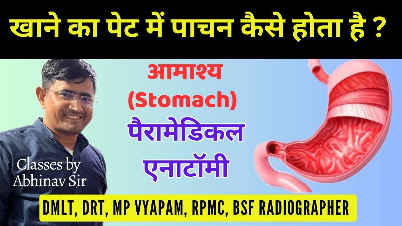 GIT - Stomach - YouTube