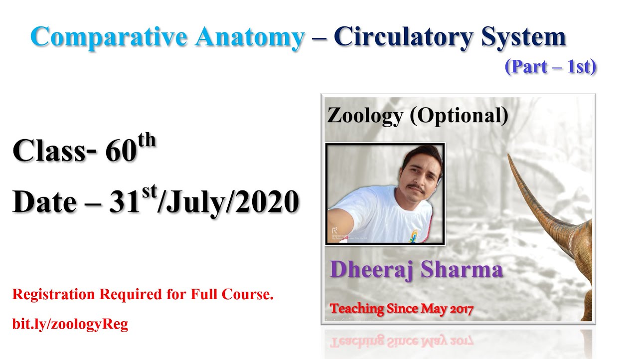 Class 60th | Comparative Anatomy - Circulatory System | Part 1st - YouTube