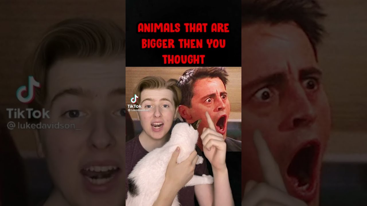 Luke Davidson: FACTS 2021 Compilation - YouTube