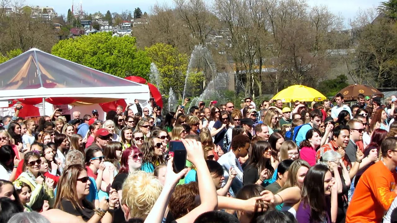 Seattle Glee Flash Mob 2012 - YouTube