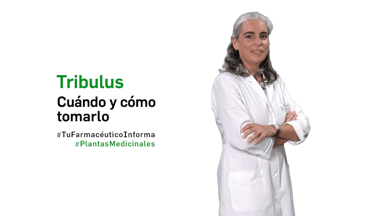 Tribulus, cuándo y cómo tomarlo - Tu Farmacéutico Informa # ...