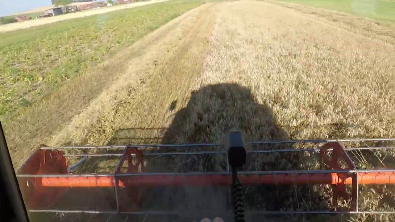 DrescherVlog #6 Ein kompletten Riesenschlag dreschen ;-) - YouTube