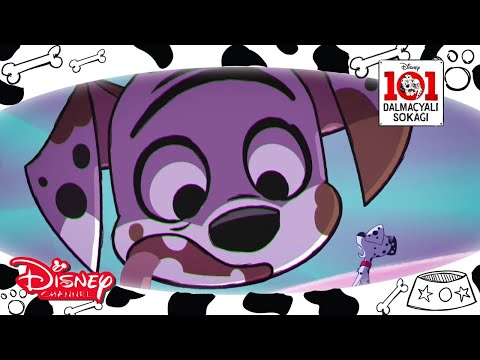 101 Dalmaçyalı Sokağı I 🐾 Çamurlu Yavrular 🐾  I Disney Channel Türkiye