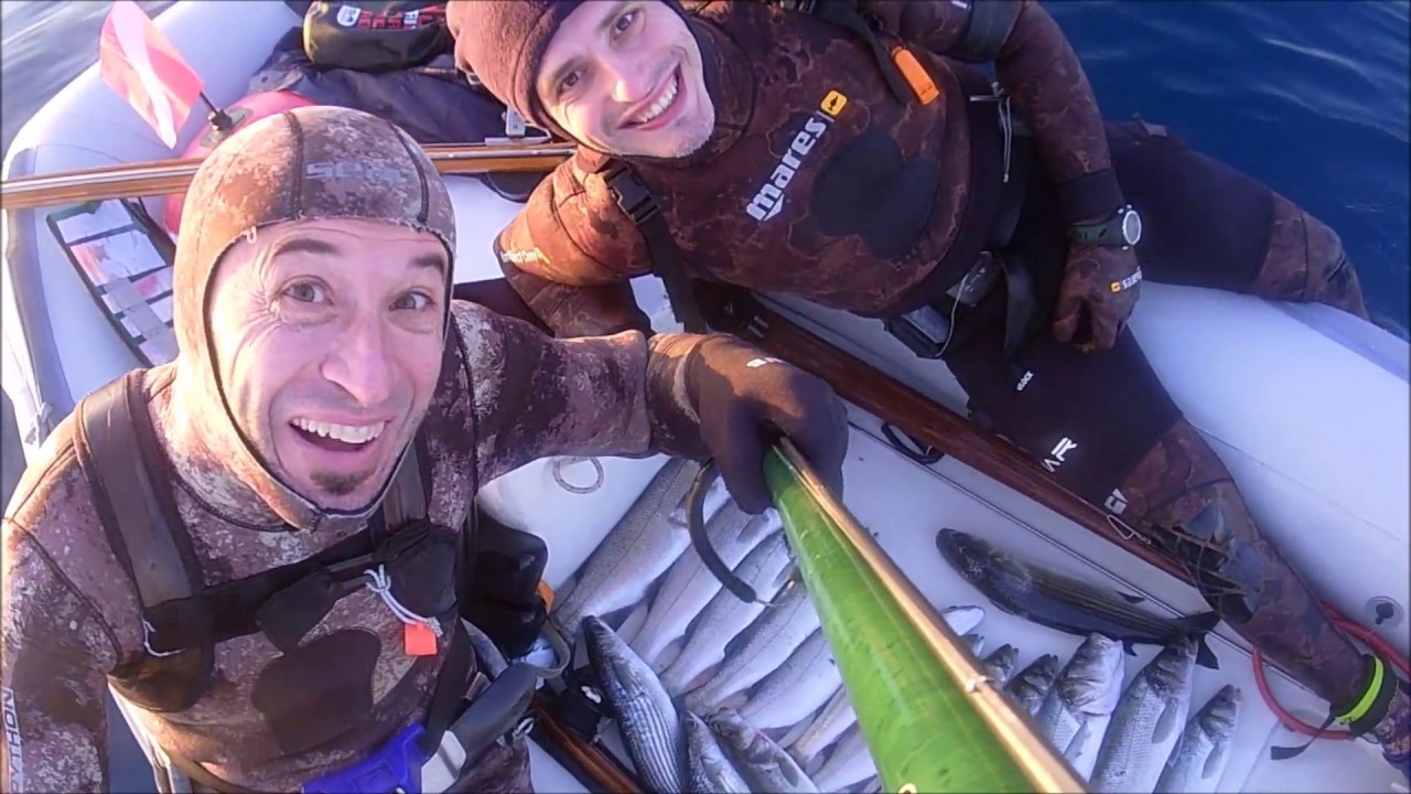 Pesca SUB: pescare con l'ASSASSINO (Vignola) in periodi di vacche magre ...