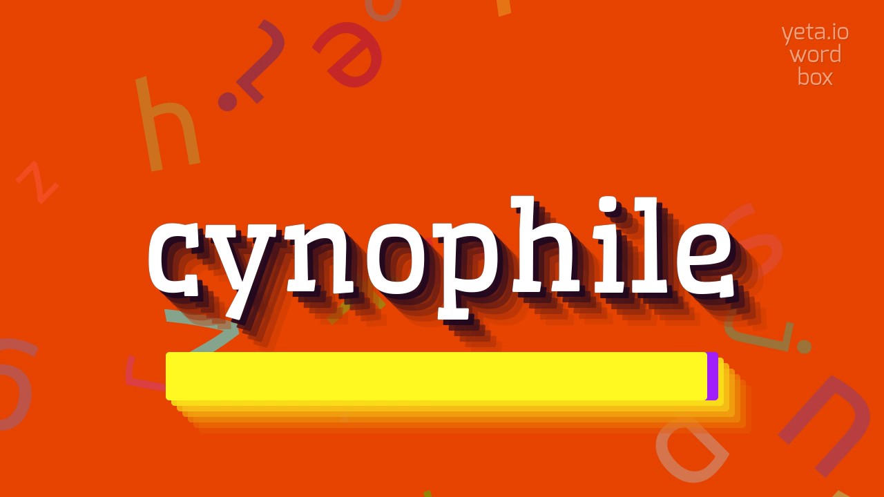 How to say "cynophile"! (High Quality Voices) - YouTube