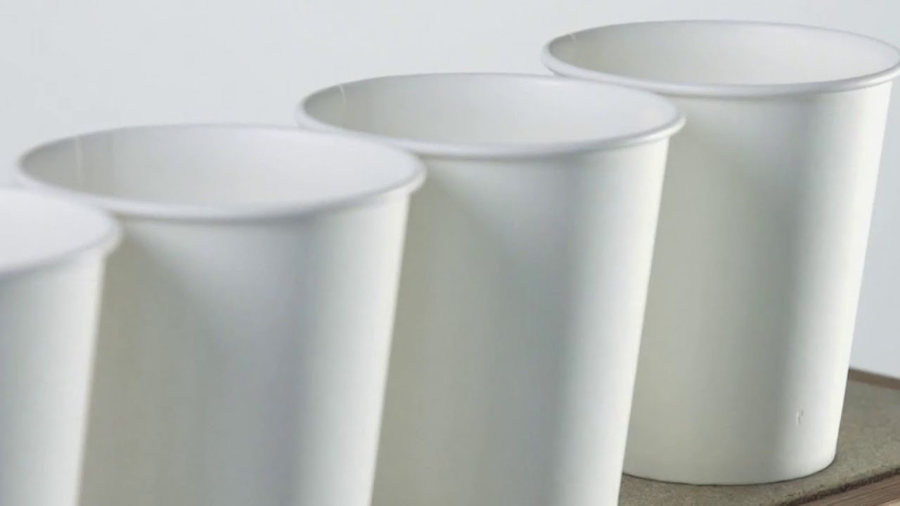 Why Experts Say Drinking Coffee From Paper Cups Can Lead To Serious why-experts-say-drinking-coffee-from-paper-cups-can-lead-to-serious