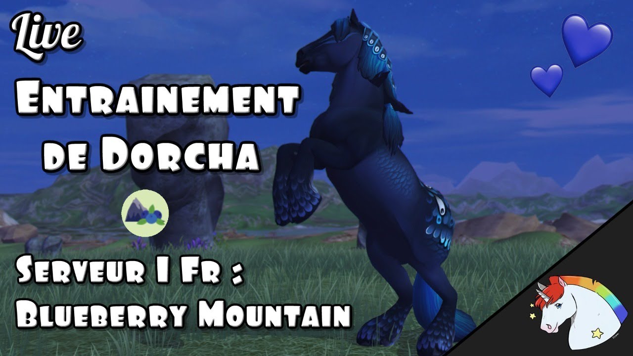 🔴 [LIVE SSO] - ENTRAINEMENT DE DORCHA 💙 - YouTube