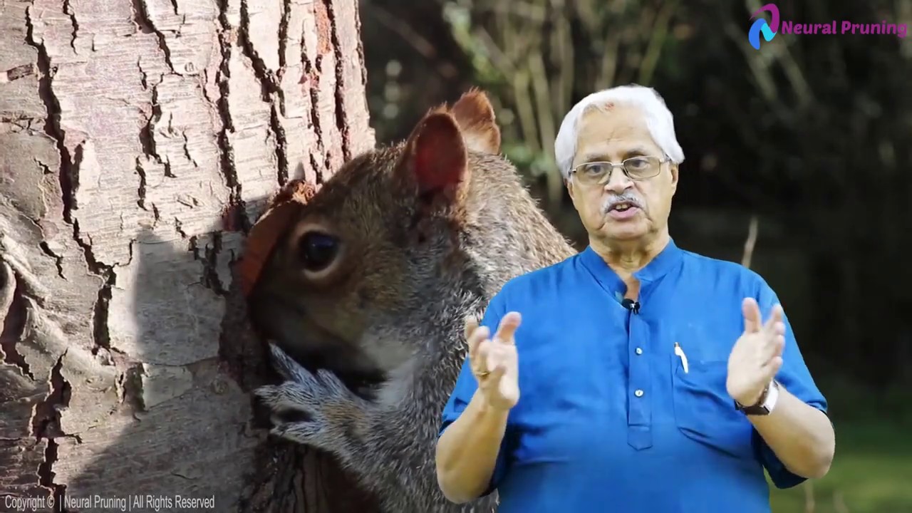 Neural Pruning | Introduction To Class 11 Biology | Dr. Balakrishna ...