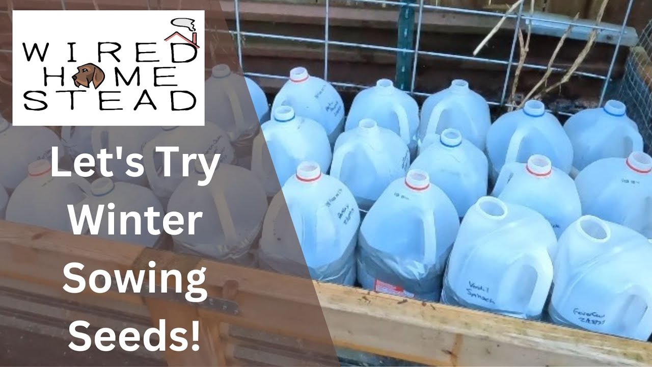 Growing Your Own Food | Using Winter Sowing Method to Start Seeds - YouTube