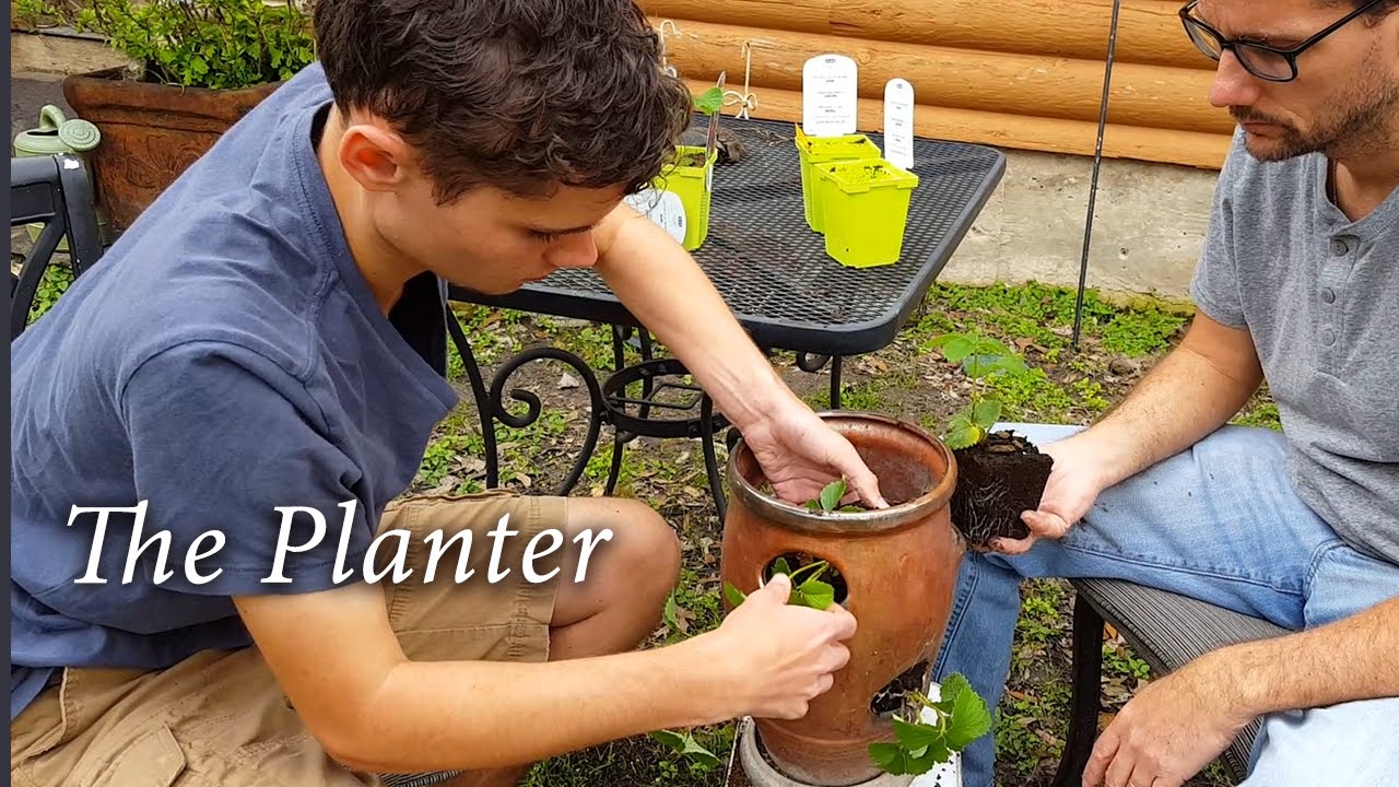 Luke Plants Strawberries! - Gardening With Special Needs - YouTube