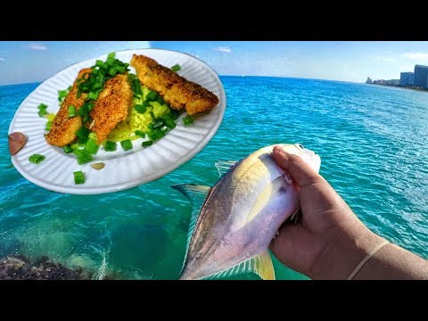 Catch And Cook JACK CREVALLE! Trash FISH - SUPRISING Outcome! - YouTube