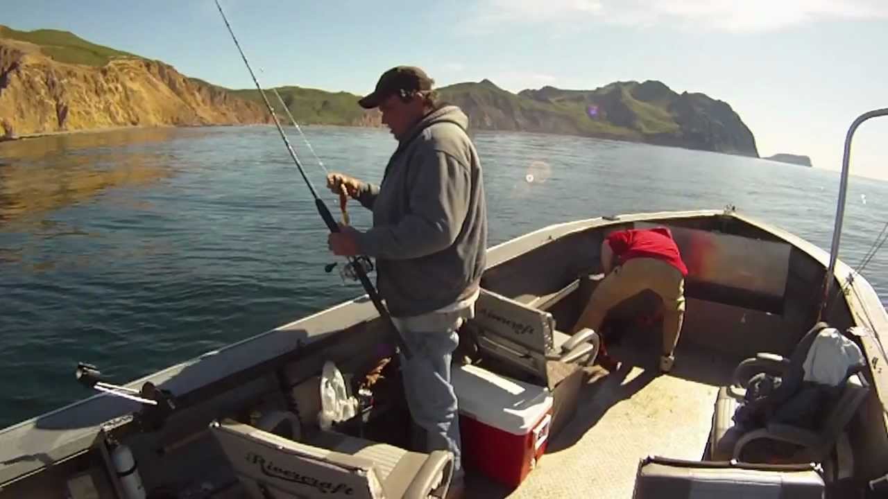 Chignik Alaska Lingcod Fishing - YouTube