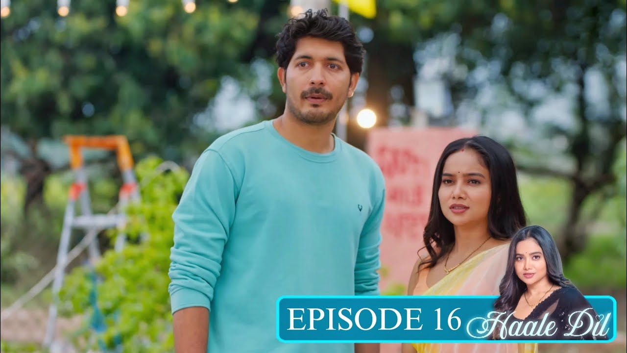 Haale Dil Episode 16 Release Date | Episode 16 Update | haale dil ...