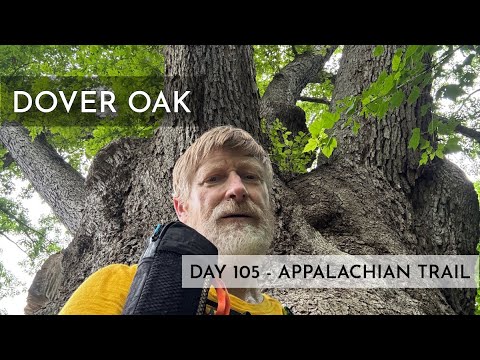 Dover Oak – Appalachian Trail 2025 Thru Hike Day 104 – Pawling NY Train ...