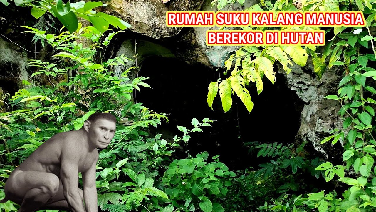 Kaget Ditemukan Rumah Suku Kalang Manusia Berekor Di Hutan - YouTube