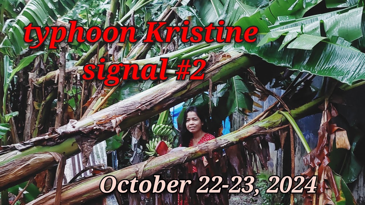 Typhoon Kristine overcoming devastation , October 23, 2024 - YouTube