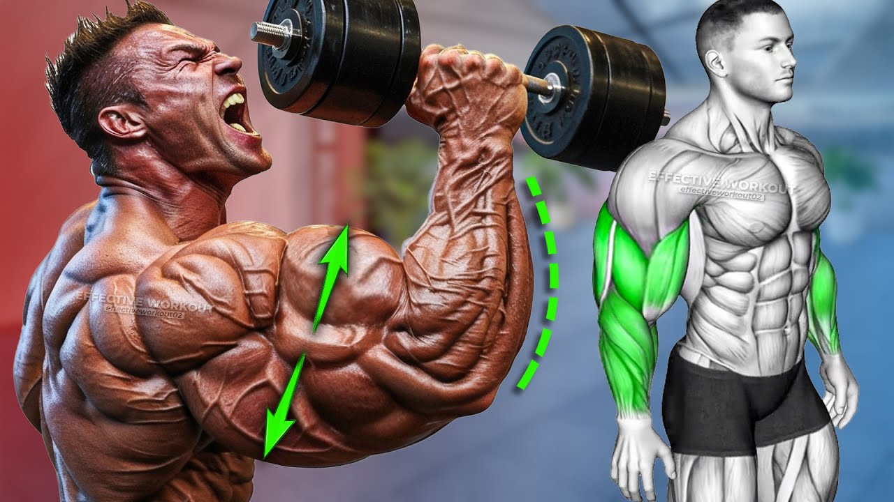 6 Fastest Huge Arm Exercises for You - YouTube