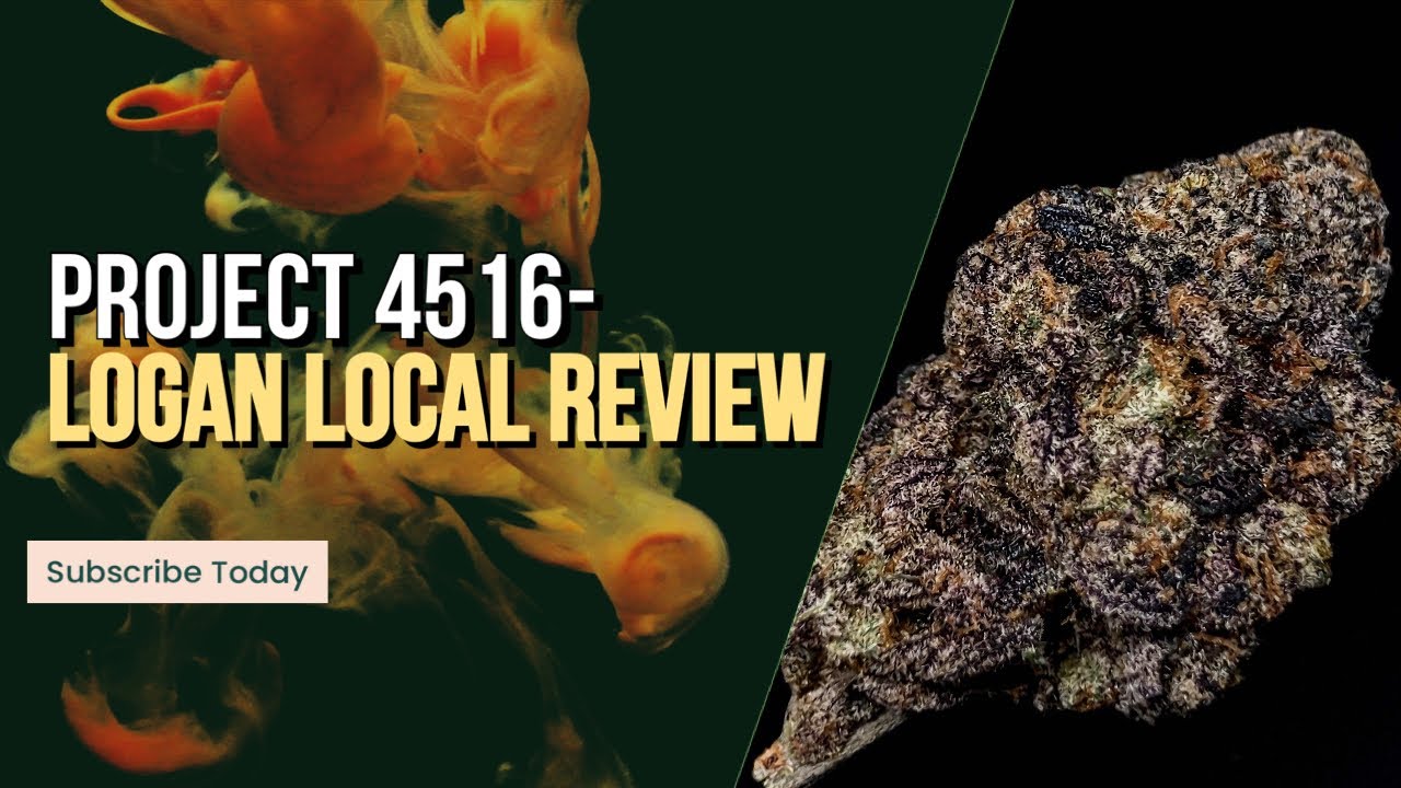 Project 4516: Logan Local Strain Feature - YouTube
