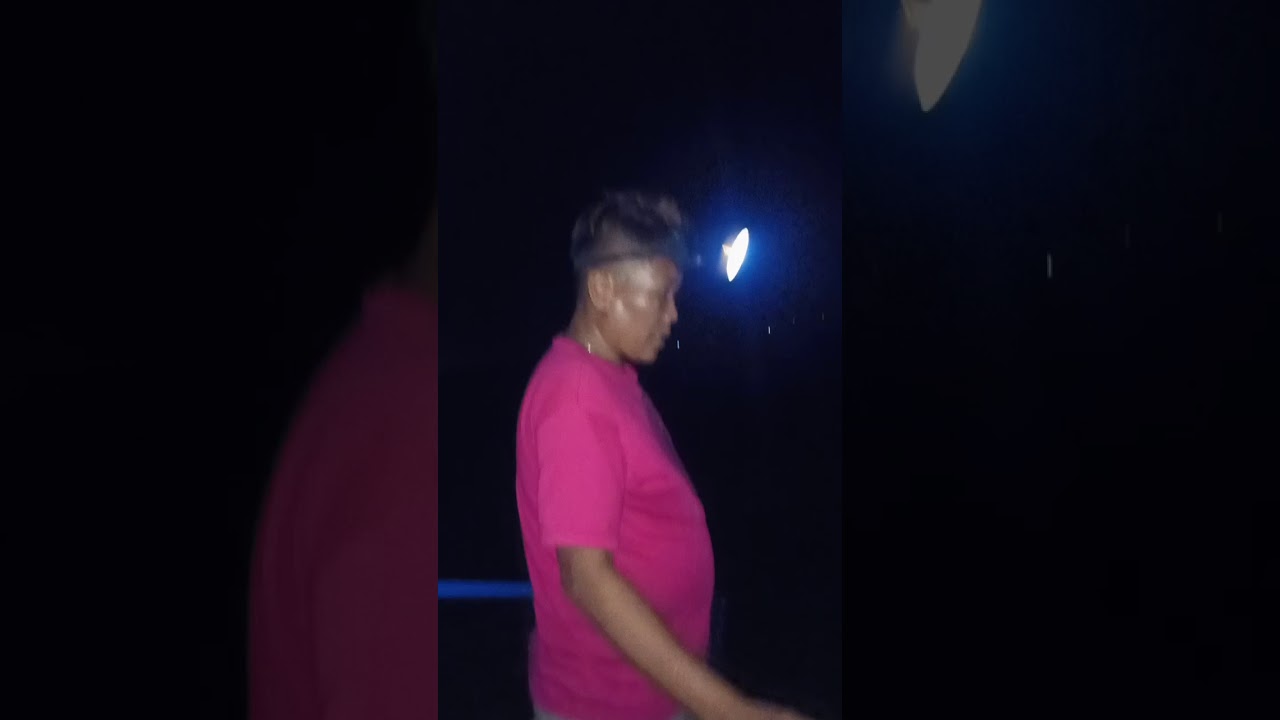 Life sa nagpuyo sa daplin sa dagat panulo ug kasag ug shell ug pasayang ...