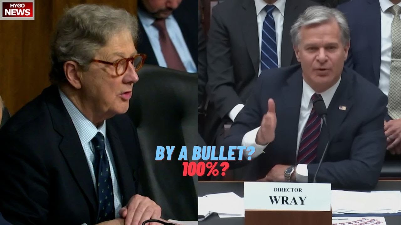 FBI Deputy Dir Humiliates Boss Chris Wray & Debunks His Conspiracy ...