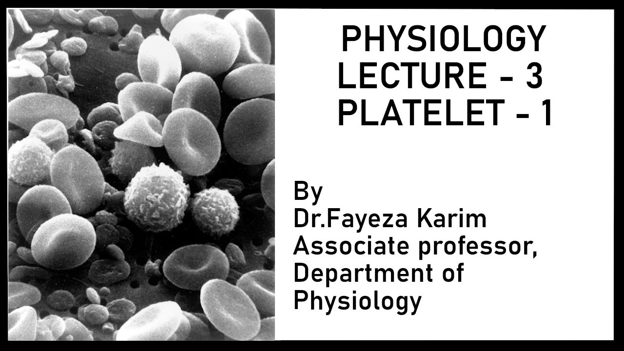 Physiology Class - 3 Platelet - 1 - YouTube