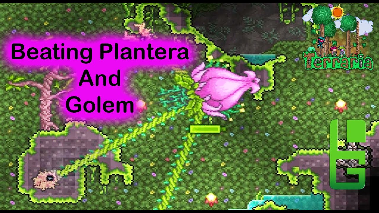 Terraria Bosses: Plantera and Golem Boss Fights - YouTube