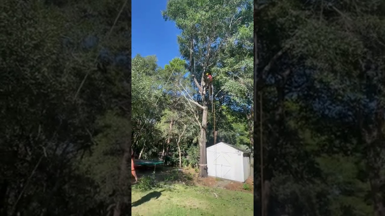 Rigging wood 😇 - YouTube