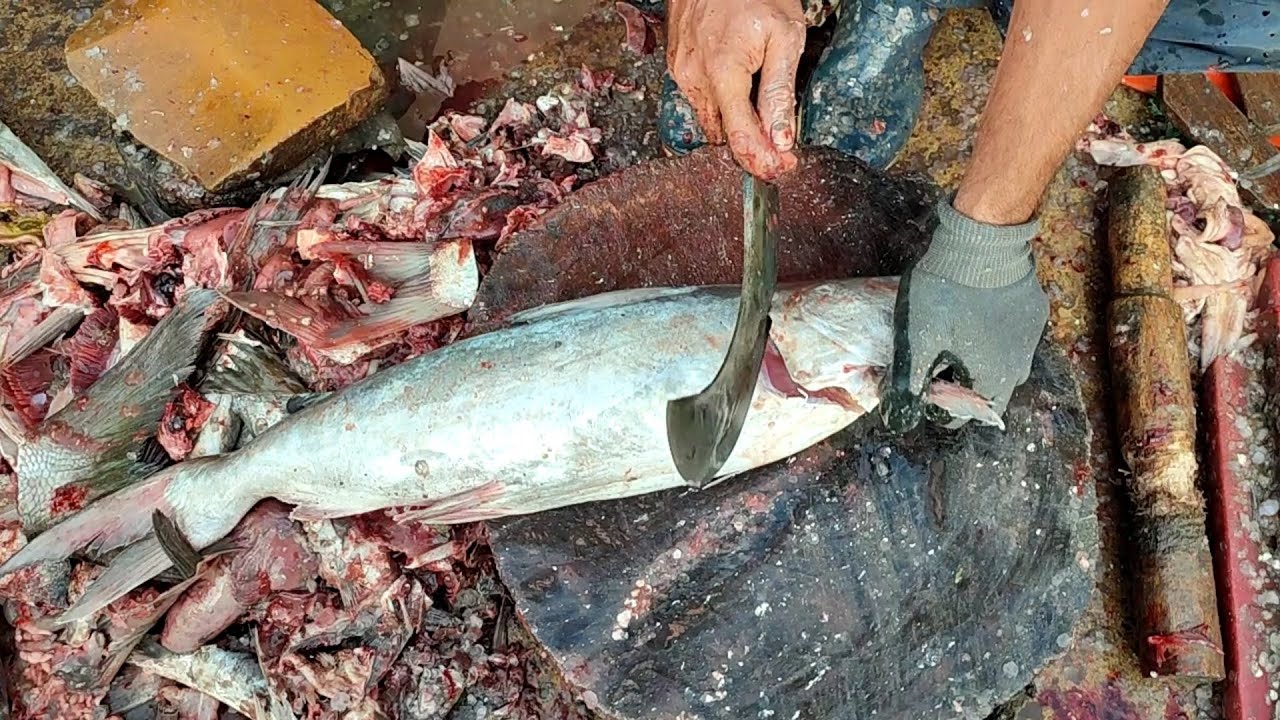 rinji fish cutting|fish cutting|fish market| Karachi fisheries - YouTube