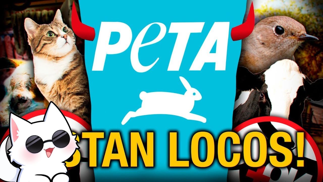 ROX_X REACCIONA A "TODAS LAS POLEMICAS Y ATROCIDADES COMETIDAS POR PETA ...
