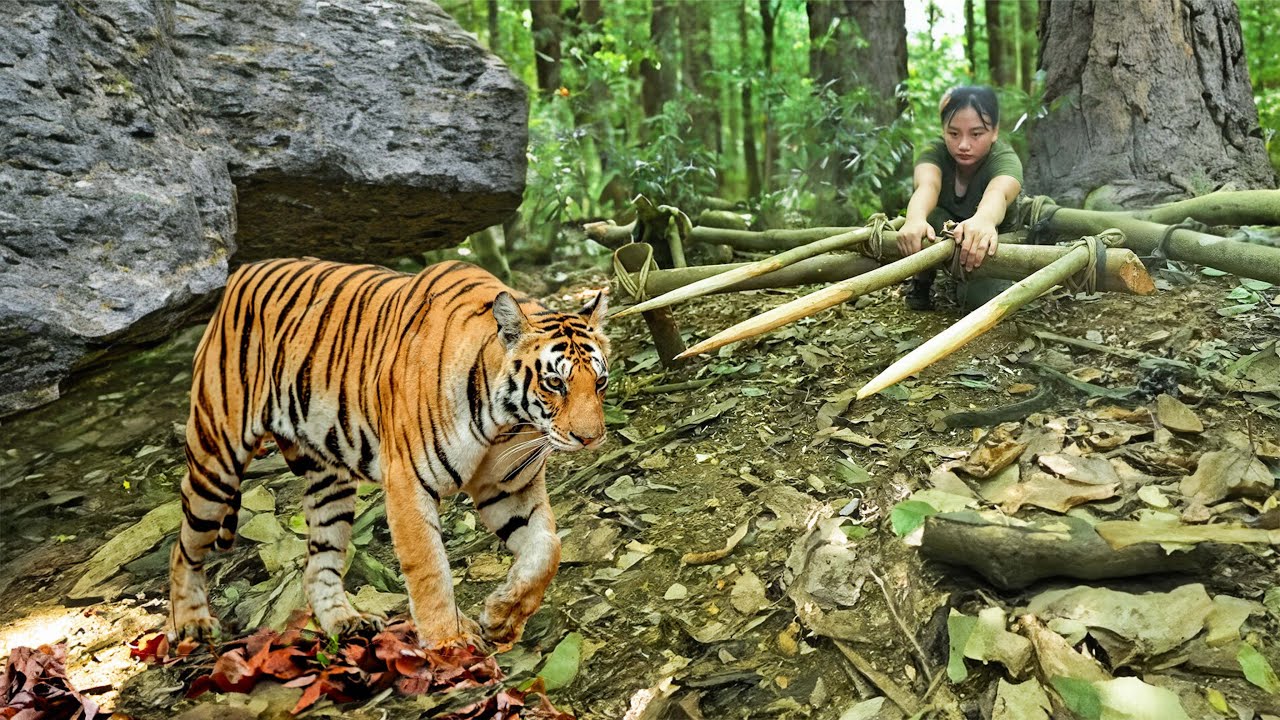 Bad Day, Facing a Big Tiger.../ Losing a Friend, Hatred and ...