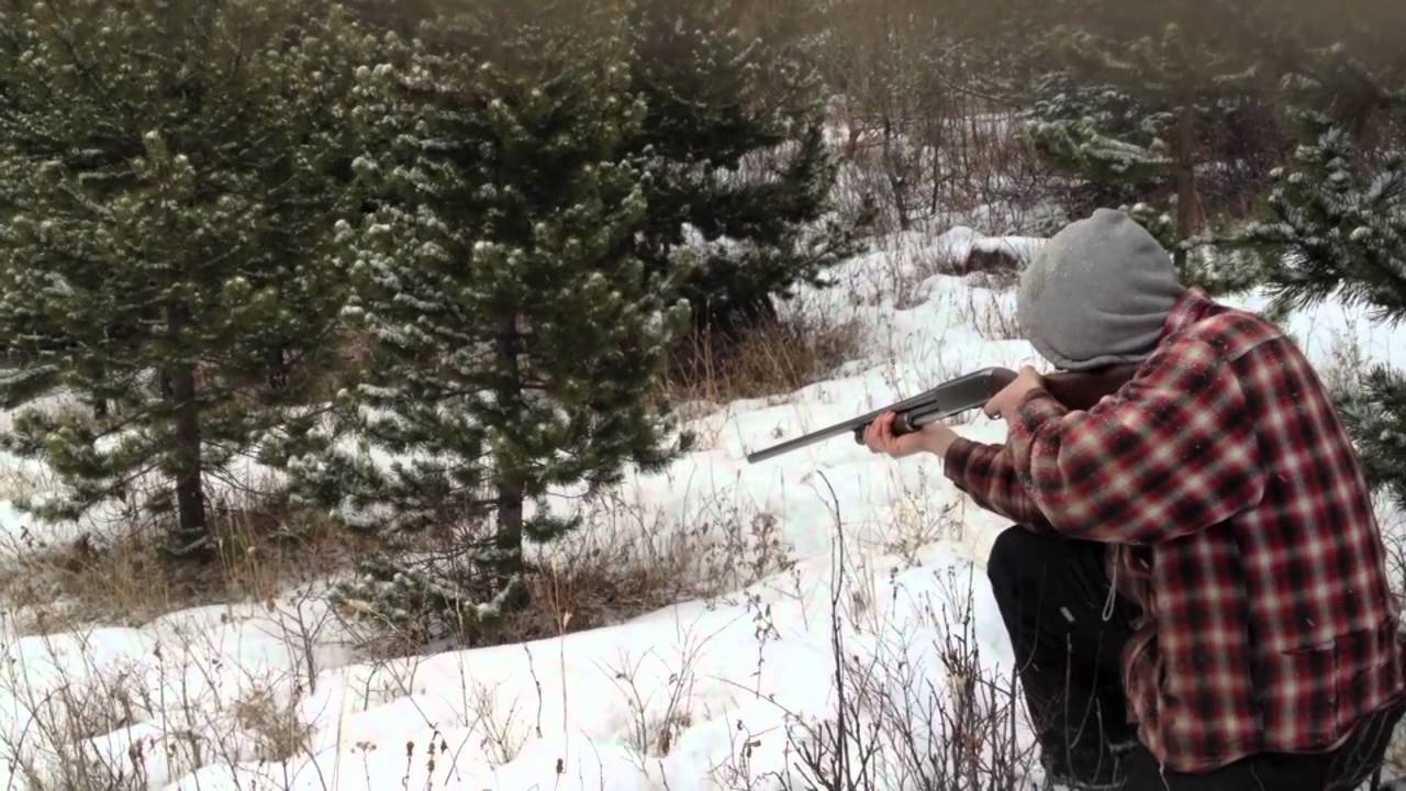 Redneck Christmas Tree Hunting - YouTube