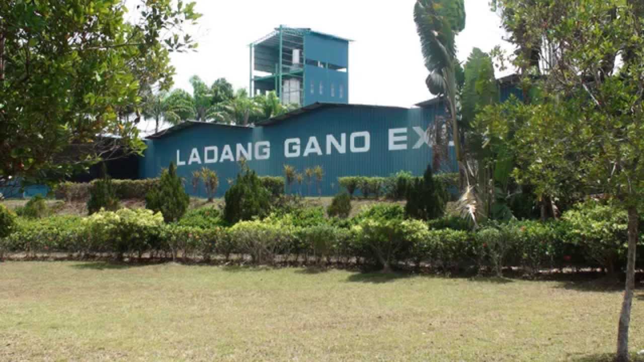 Australian Gano Excel Team in Malaysia 1- 4 -2014 - YouTube