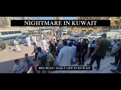 Discover the real Nightmare in Kuwait ! Bed Bugs - India to Kuwait ...