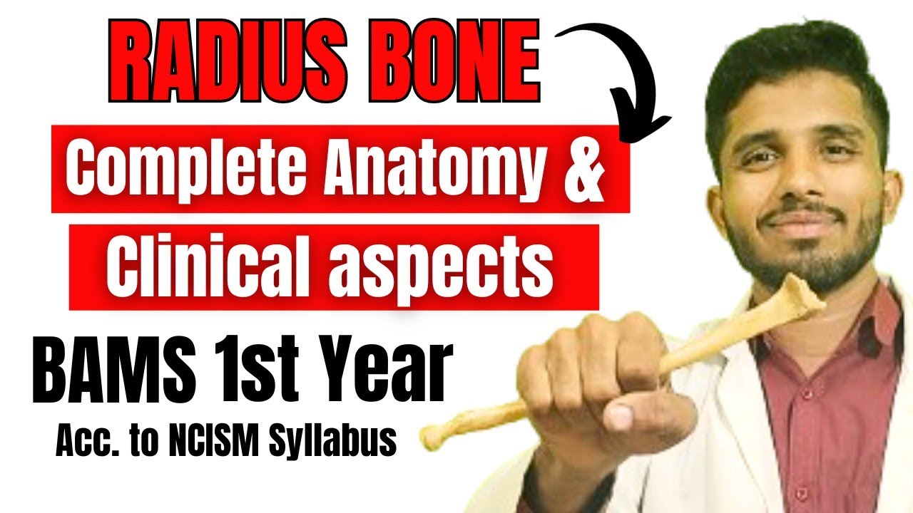 Radius Bone - Part 2 | Complete Anatomy & Clinical Aspects | BAMS 1st year Anatomy Classes #bams ...