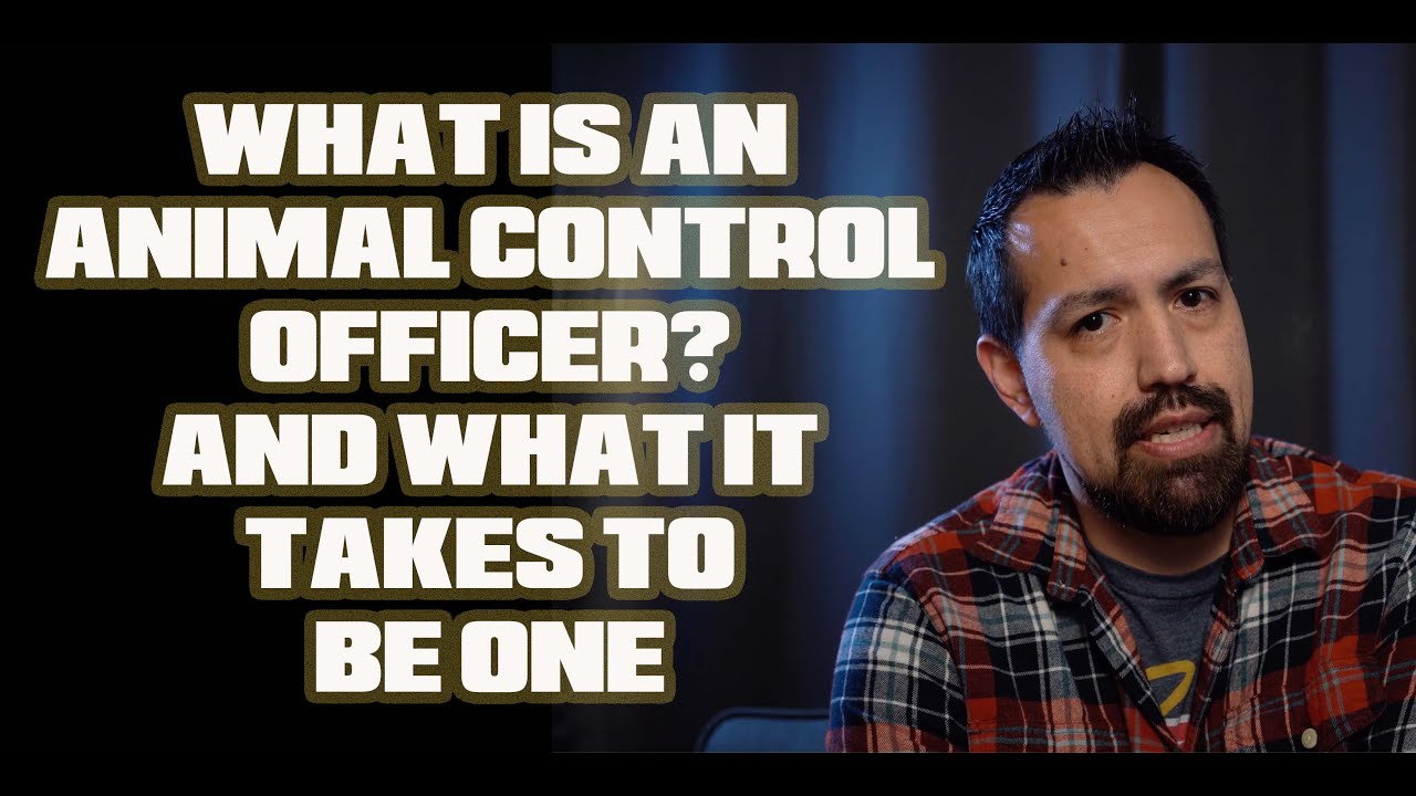 What Is An Animal Control Officer? - YouTube