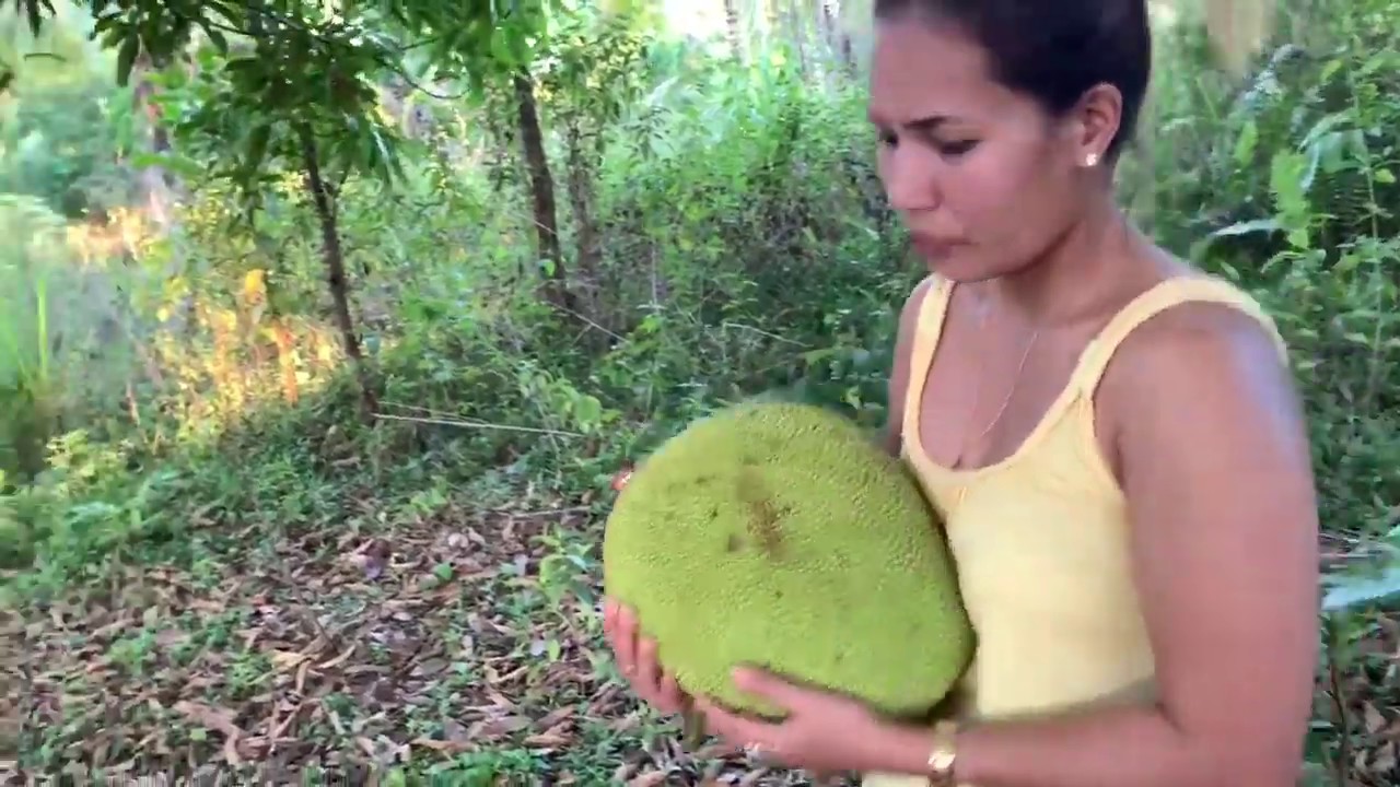 Life in the Philippines - A look at Lyns Farm - YouTube