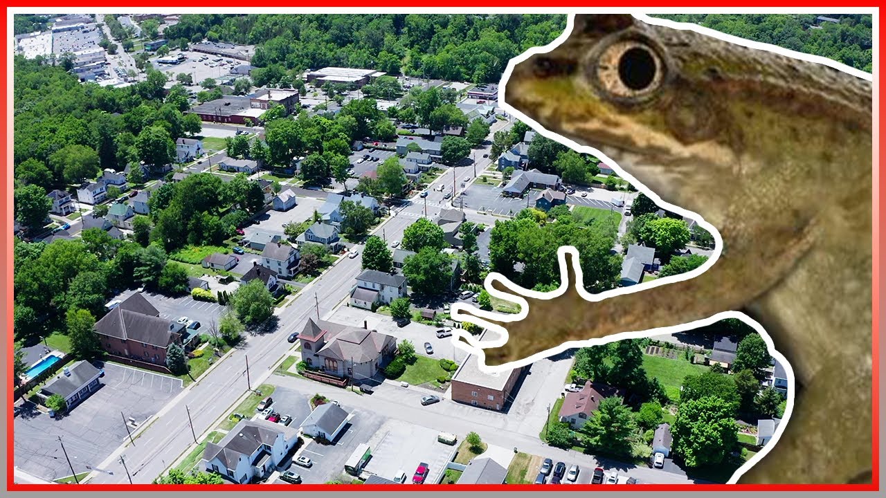 The Loveland Frogman | Ohio Legends and Tales Cryptids - YouTube