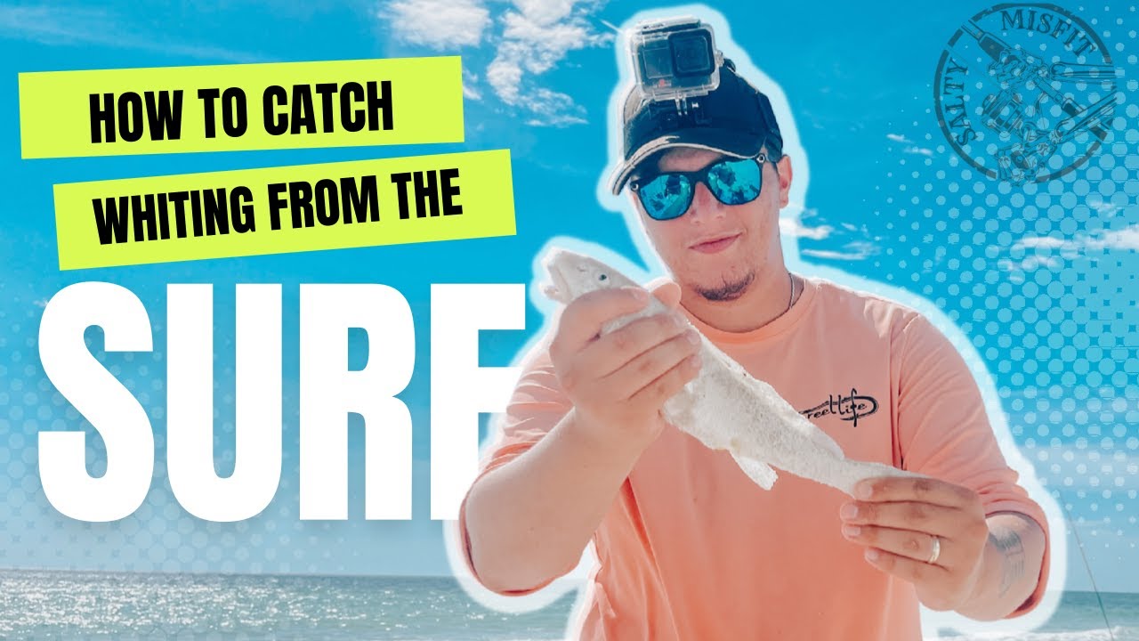 how to catch whiting in the surf!! endless whiting!! - YouTube