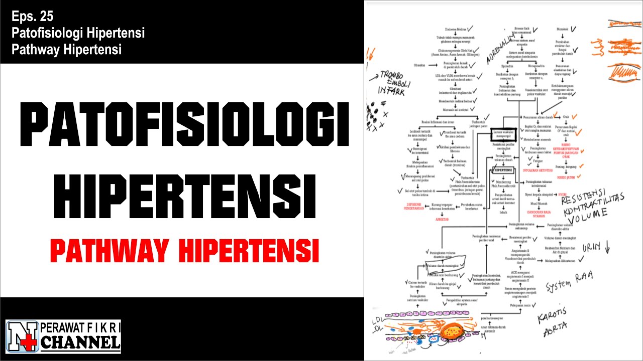 Patofisiologi Hipertensi (Tekanan Darah Tinggi). Pathway Hipertensi I ...